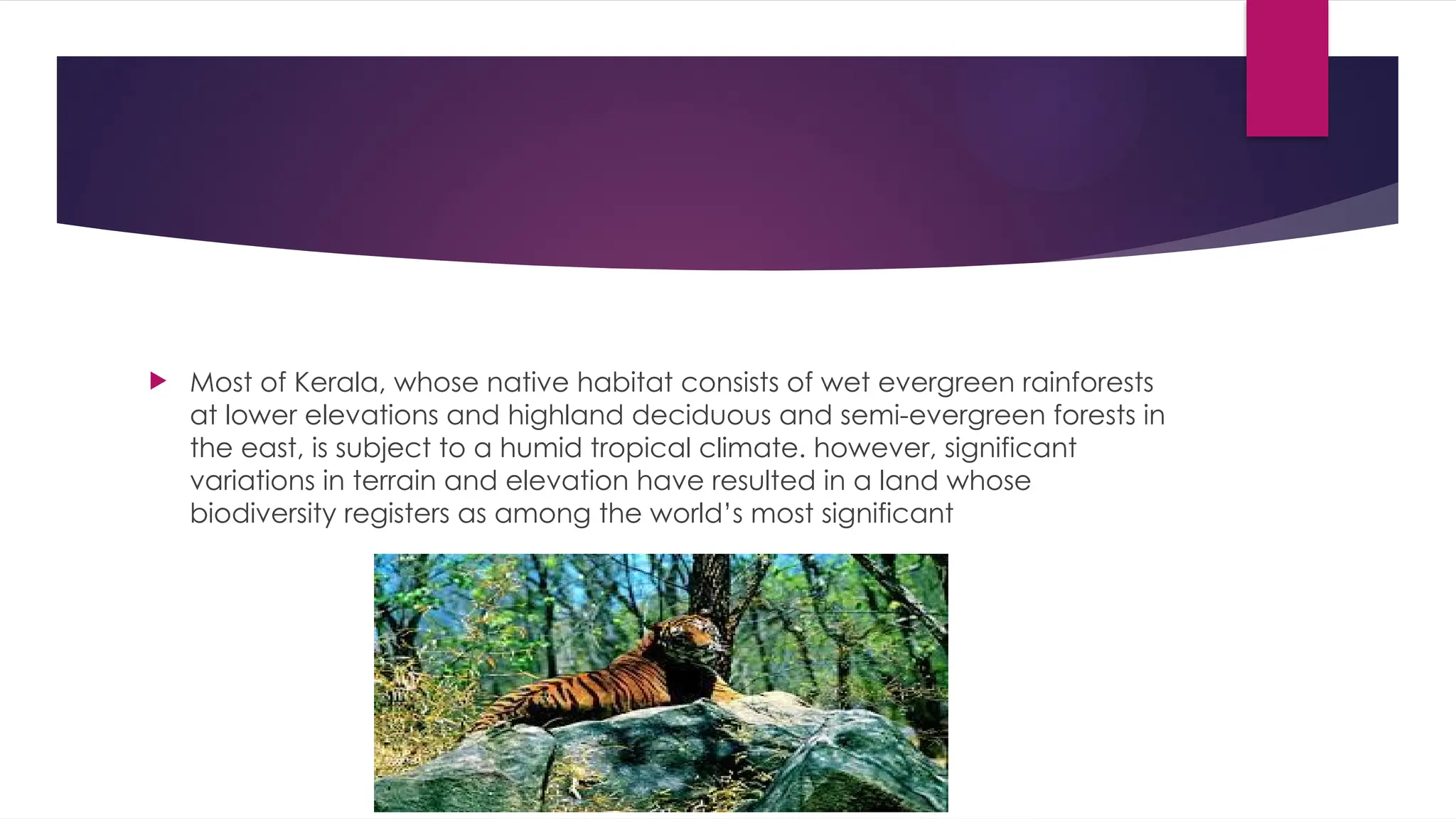 SST Project.pptx5656565656565656565656565656565656566 | PPT