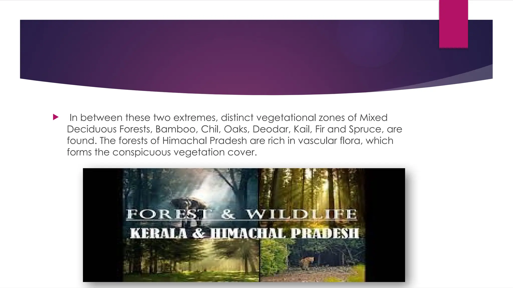 SST Project.pptx5656565656565656565656565656565656566 | PPT