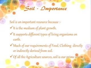 What Is Biodiversity Class 10 Geography