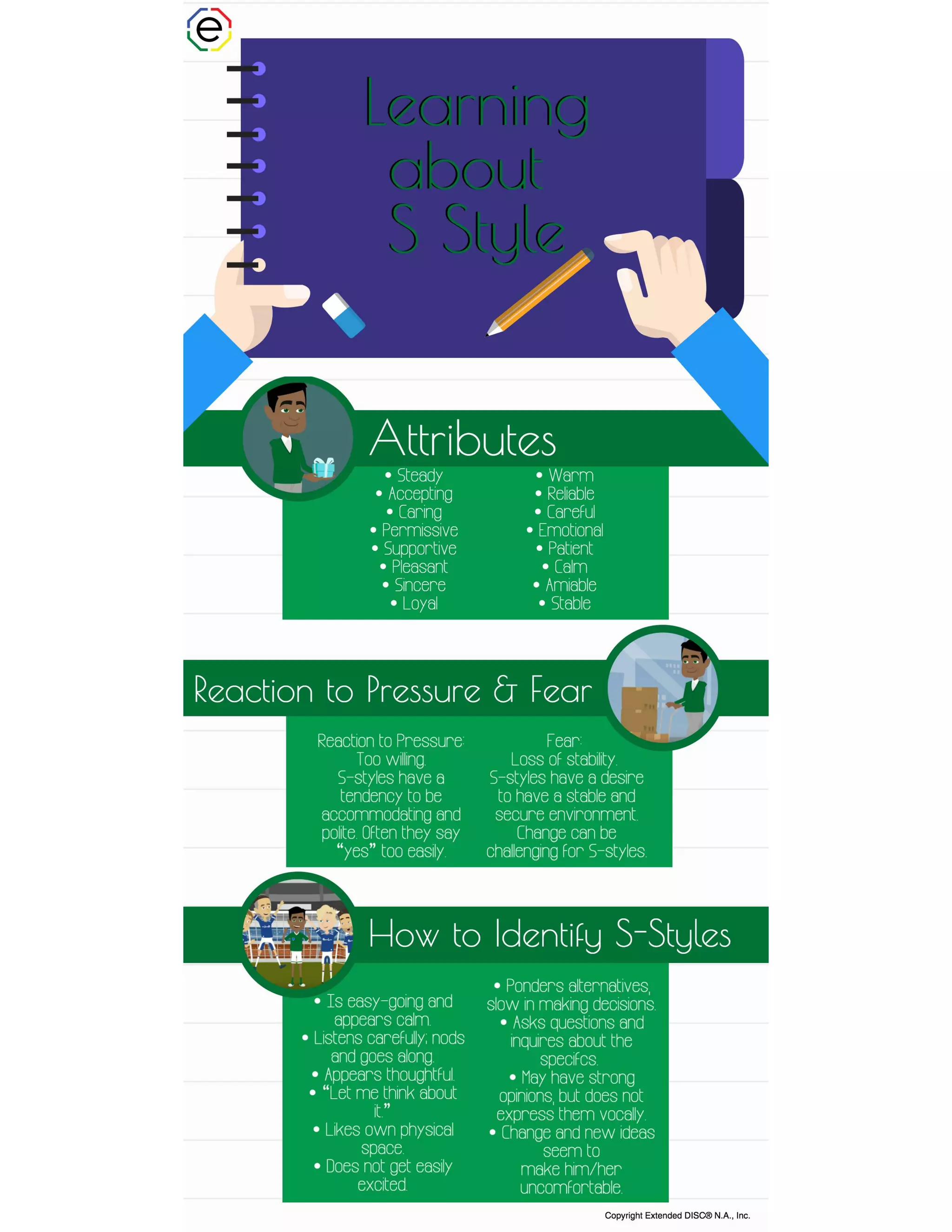 Extended DISC: S Profile Overview | PDF | Science