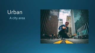 SS Unit 2, The Northeast | PPTX