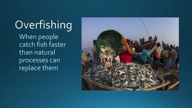 SS Unit 2, The Northeast | PPTX