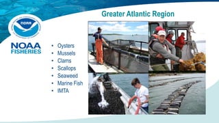 NOAA Aquaculture Program and Industry Trends in the Greater Atlantic ...