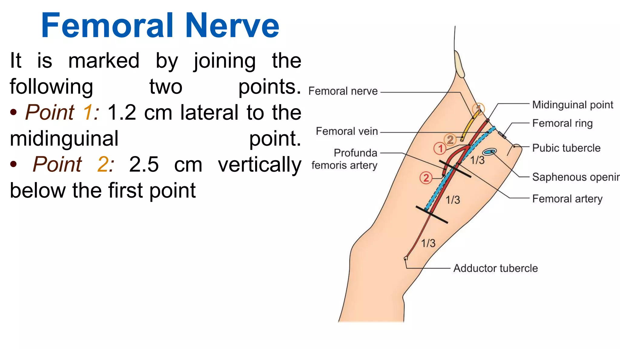 SSURFACE MARKING OF LOWER LIMB.pptx