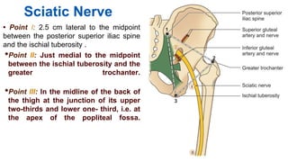 SSURFACE MARKING OF LOWER LIMB.pptx
