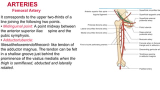 SSURFACE MARKING OF LOWER LIMB.pptx