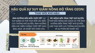 SỰ SUY GIẢM NỒNG ĐỘ TẦNG OZON Ở TẦNG BÌNH LƯU ppt.pptx