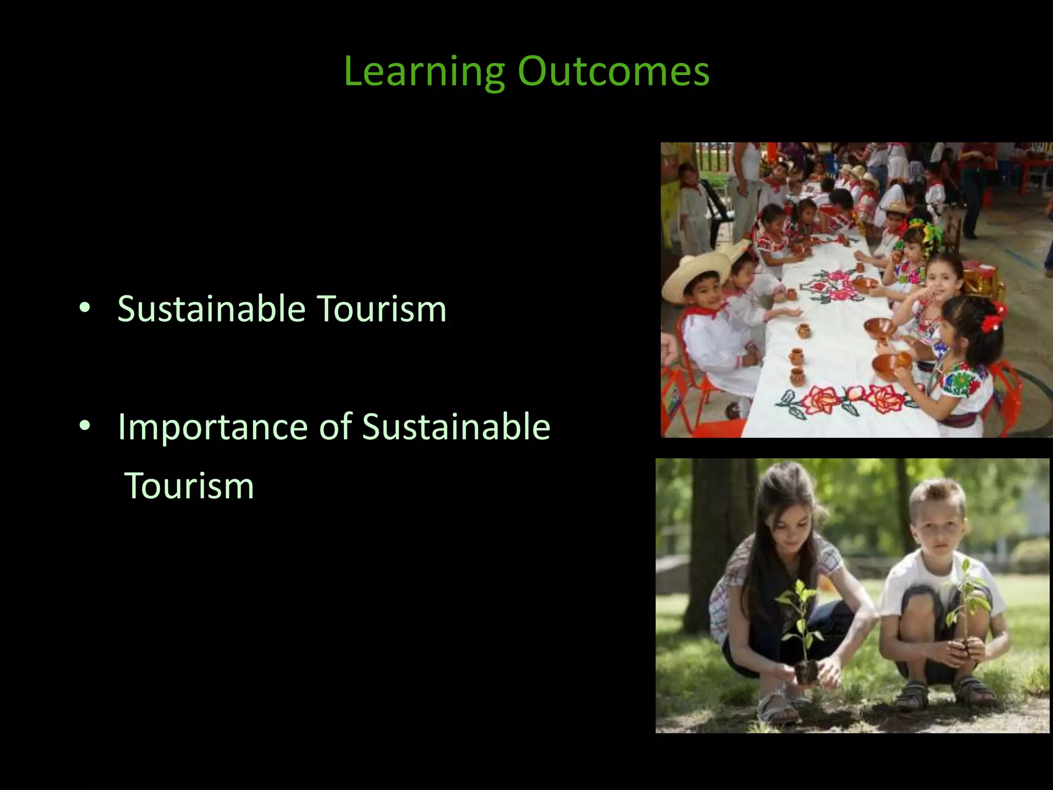 Sustainable Tourism | PPTX