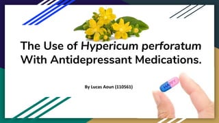 St. John's Wort (Hypericum perforatum) Pharmacology + Antidepressant ...