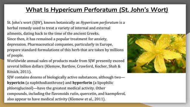 St. John's Wort (Hypericum perforatum) Pharmacology + Antidepressant ...