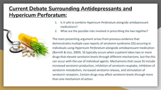 St. John's Wort (Hypericum perforatum) Pharmacology + Antidepressant ...