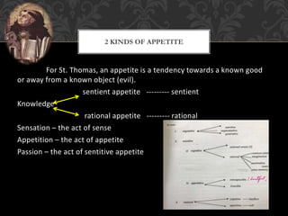 St. thomas aquinas | PPT