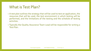 ST-All about Test Case-p3 | PDF