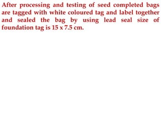 ST- Seed classes-1.ppt gpb different classes of seed | PPT