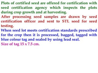 ST- Seed classes-1.ppt gpb different classes of seed | PPT