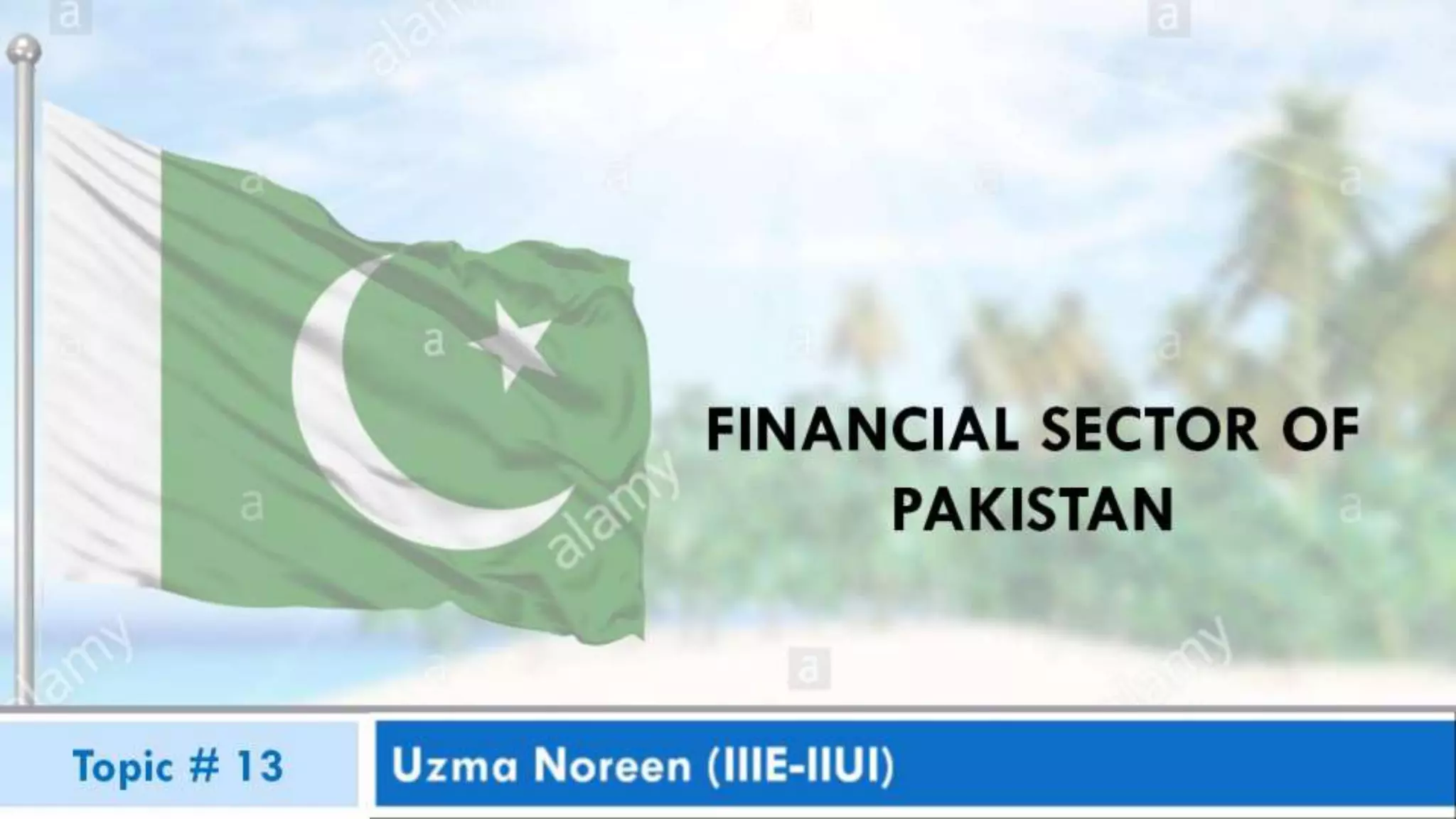 economy of pakistan financial sector | PPSX