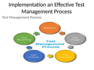 Test Management Processes for Various Testing | PPT