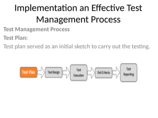 Test Management Processes for Various Testing | PPT