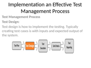 Test Management Processes for Various Testing | PPT
