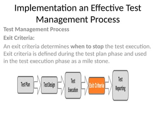Test Management Processes for Various Testing | PPTX