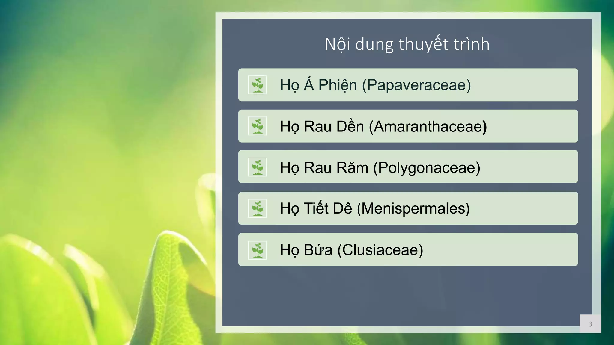 thuc vat duoc.pptx