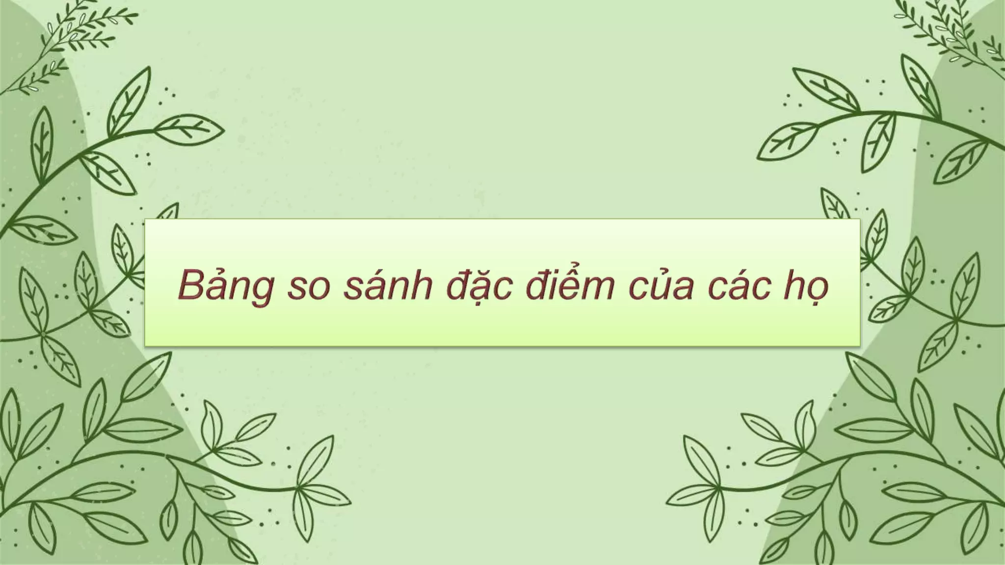 thuc vat duoc.pptx