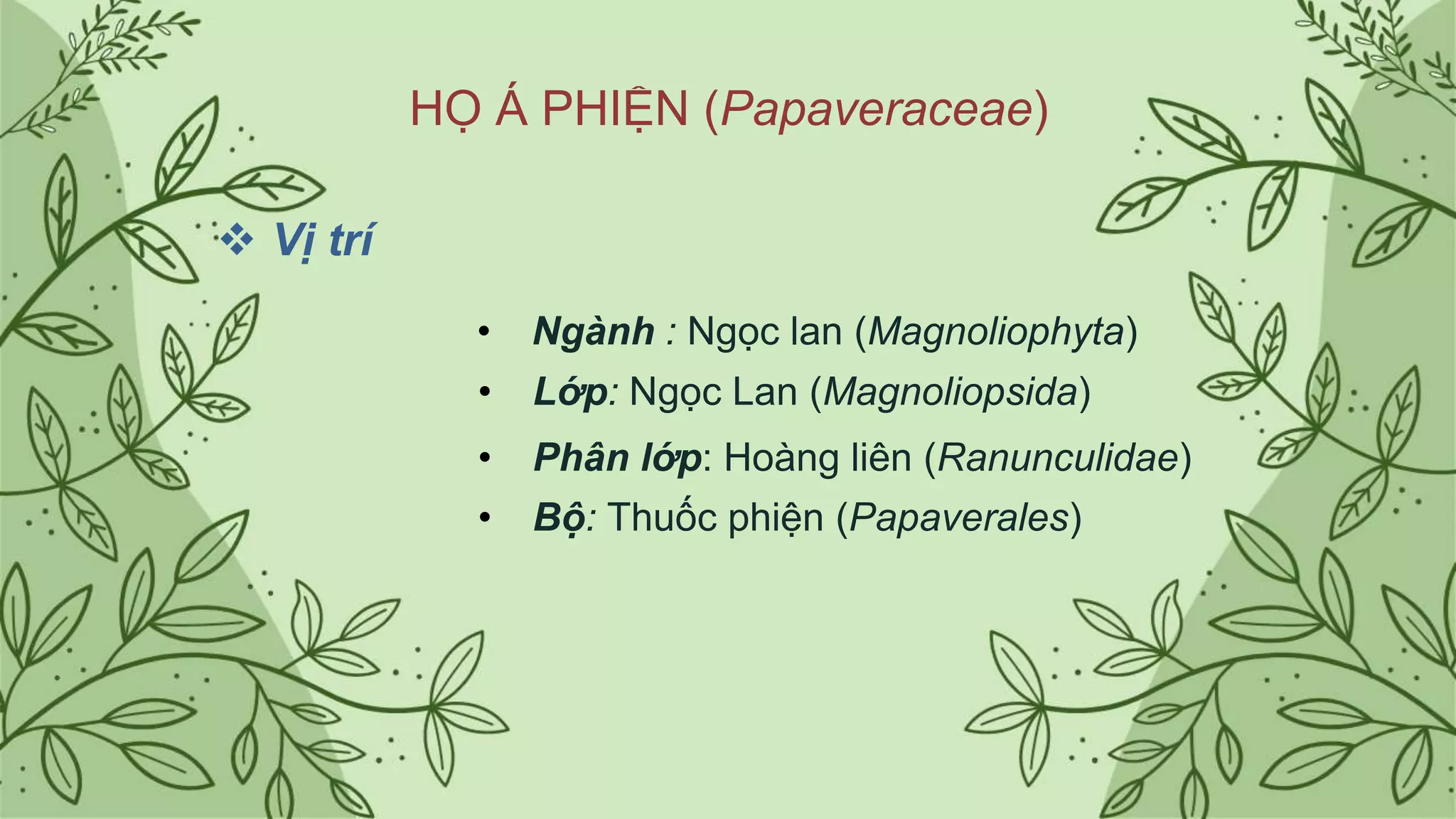 thuc vat duoc.pptx