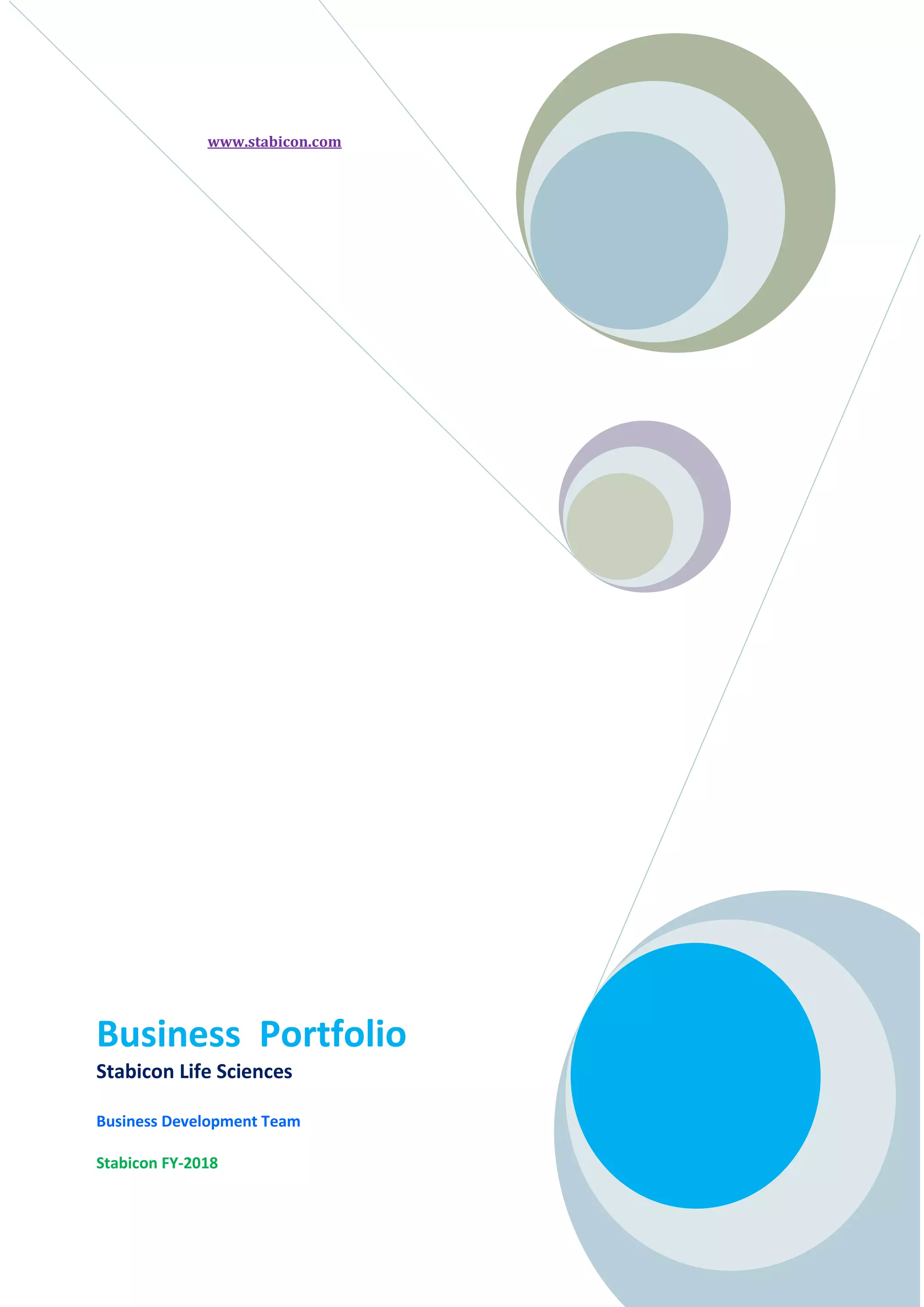 Stabicon Business Portfolio | PDF