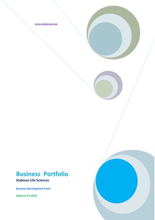 Stabicon Business Portfolio | PDF