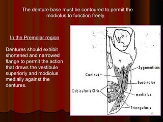 Stability in complete denture | PPT