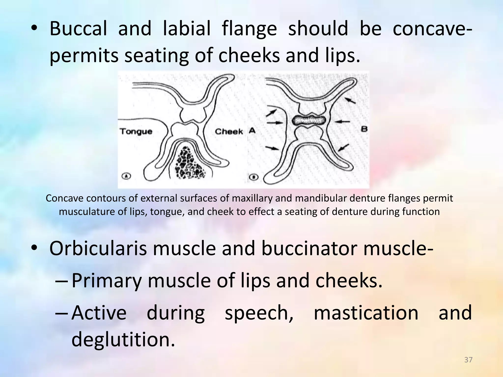 Stability and support in complete denture | PPTX
