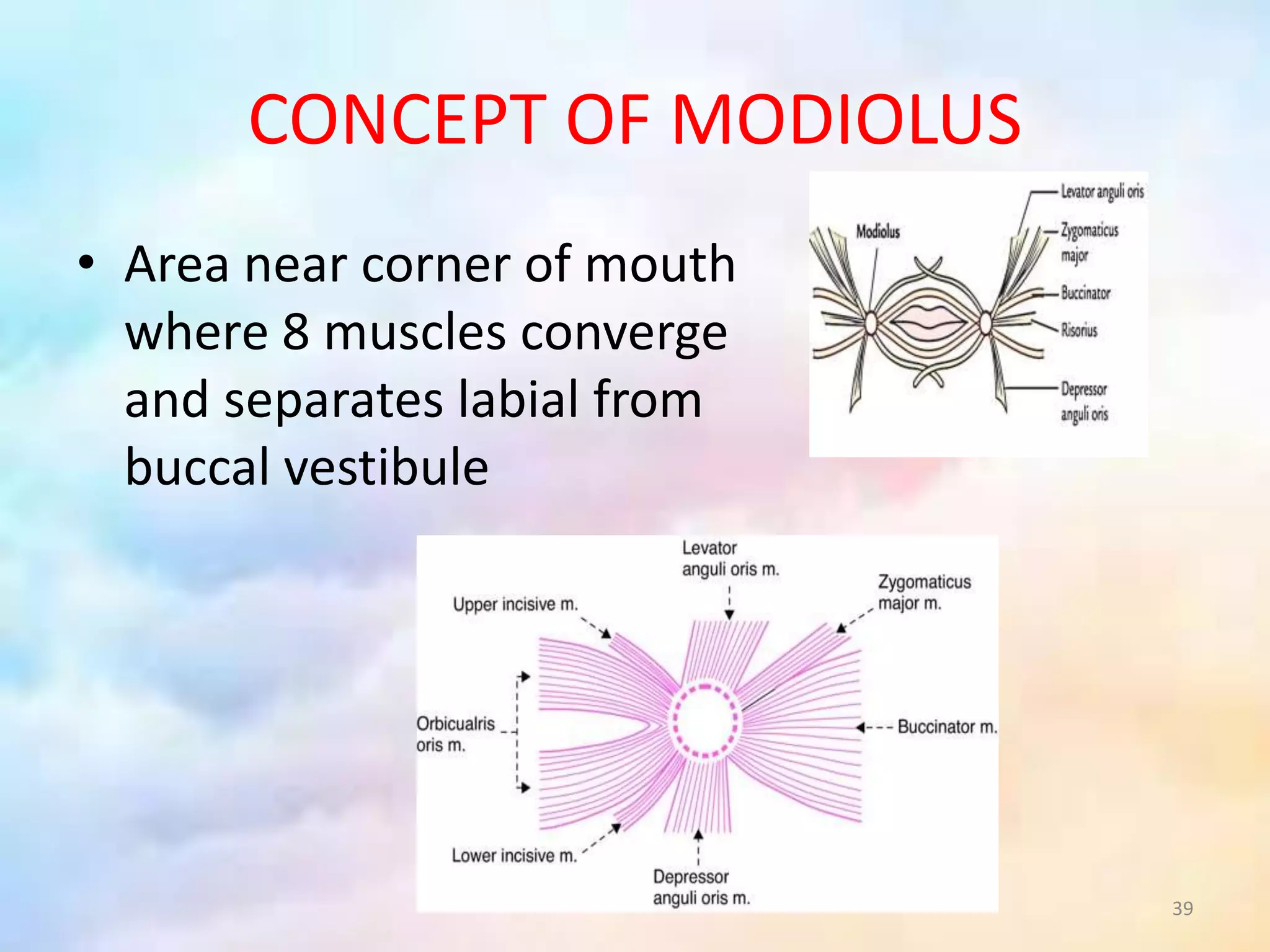 Stability and support in complete denture | PPTX