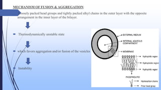 Stability aspects of liposomes | PPT