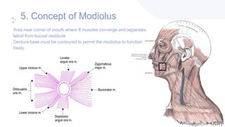 Stability in Complete Denture - by Sakshi Joshi.pptx