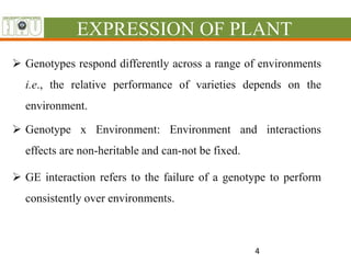 stability indices to decipher GxE interaction.ppt