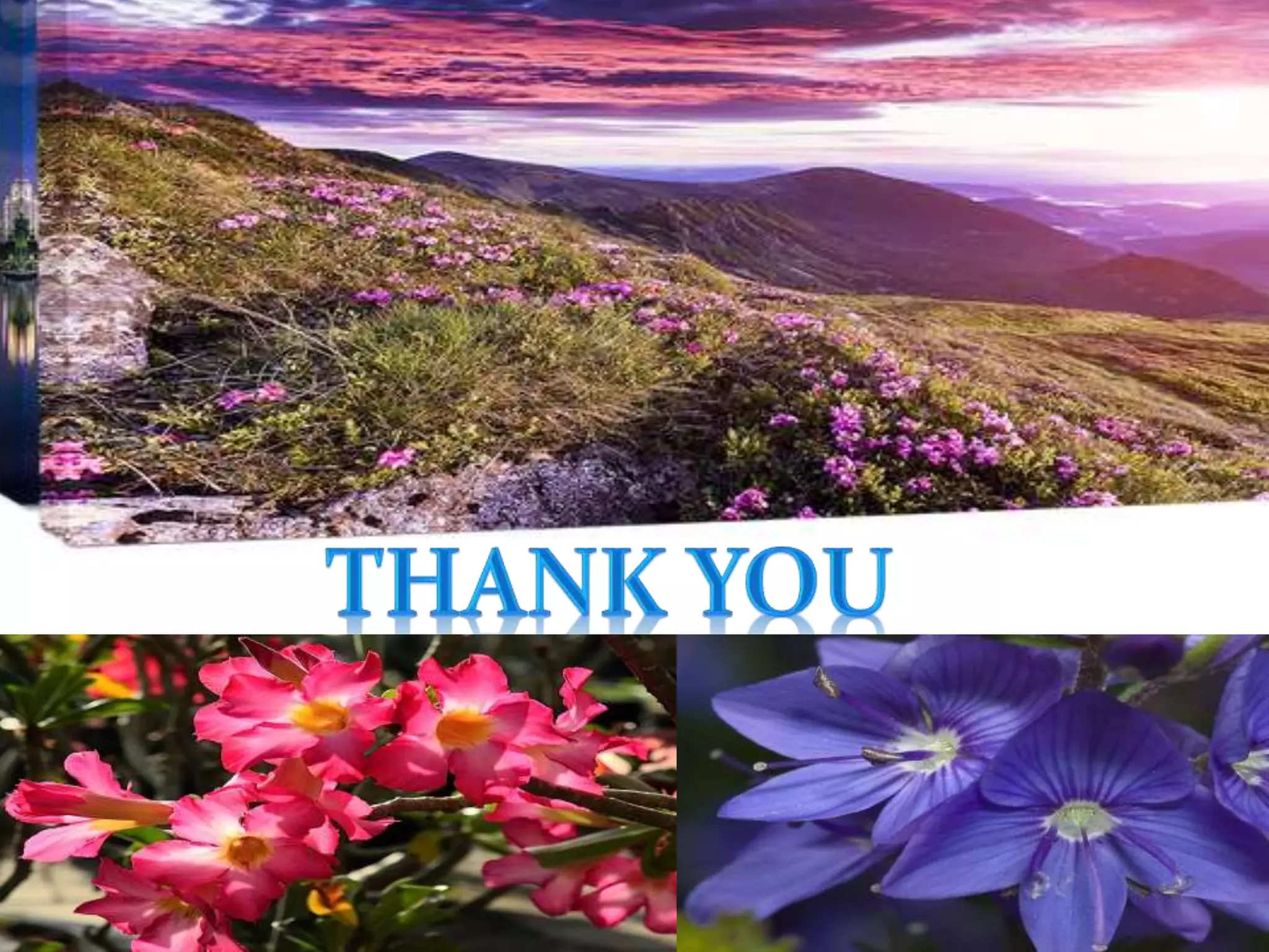 Stability of emulsion | PPTX