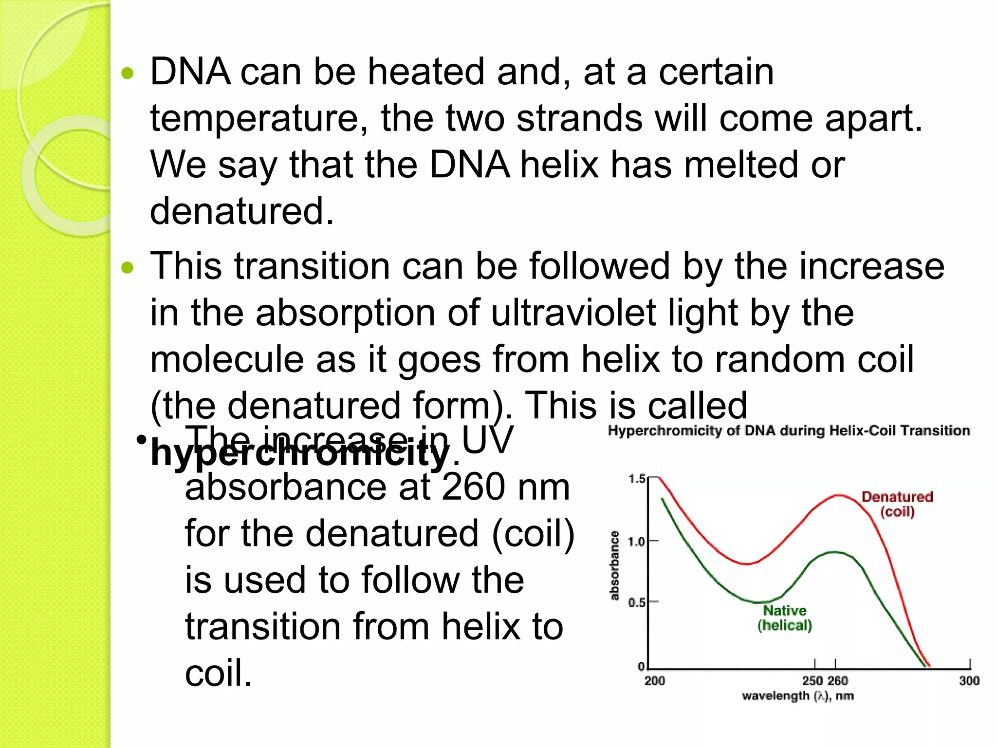 Stability of nucleic acids | PPTX