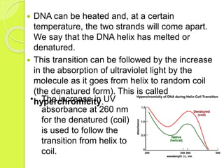 Stability of nucleic acids | PPTX
