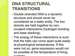 Stability of nucleic acids | PPTX