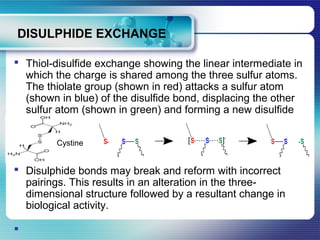 Stability Of Peptides And Proteins | PPT