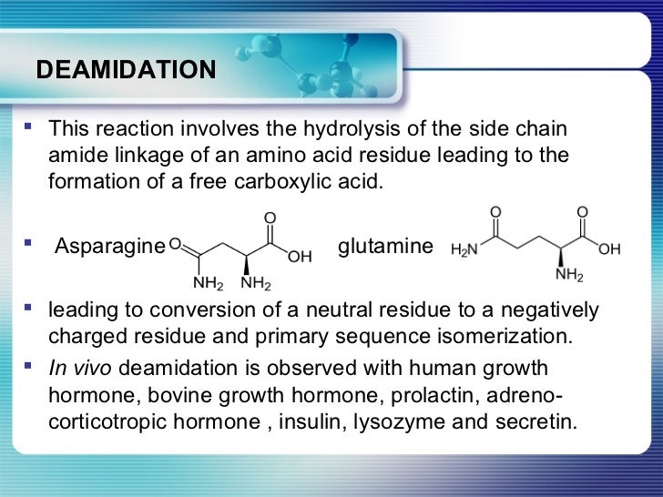 Stability Of Peptides And Proteins