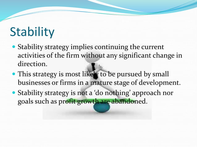 Stability strategy abhishek prakash02 | PPTX | Business | Business and Finance