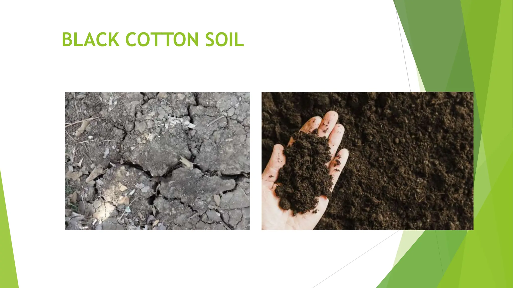 STABILIZATION OF BLACK COTTON SOILs.pptx