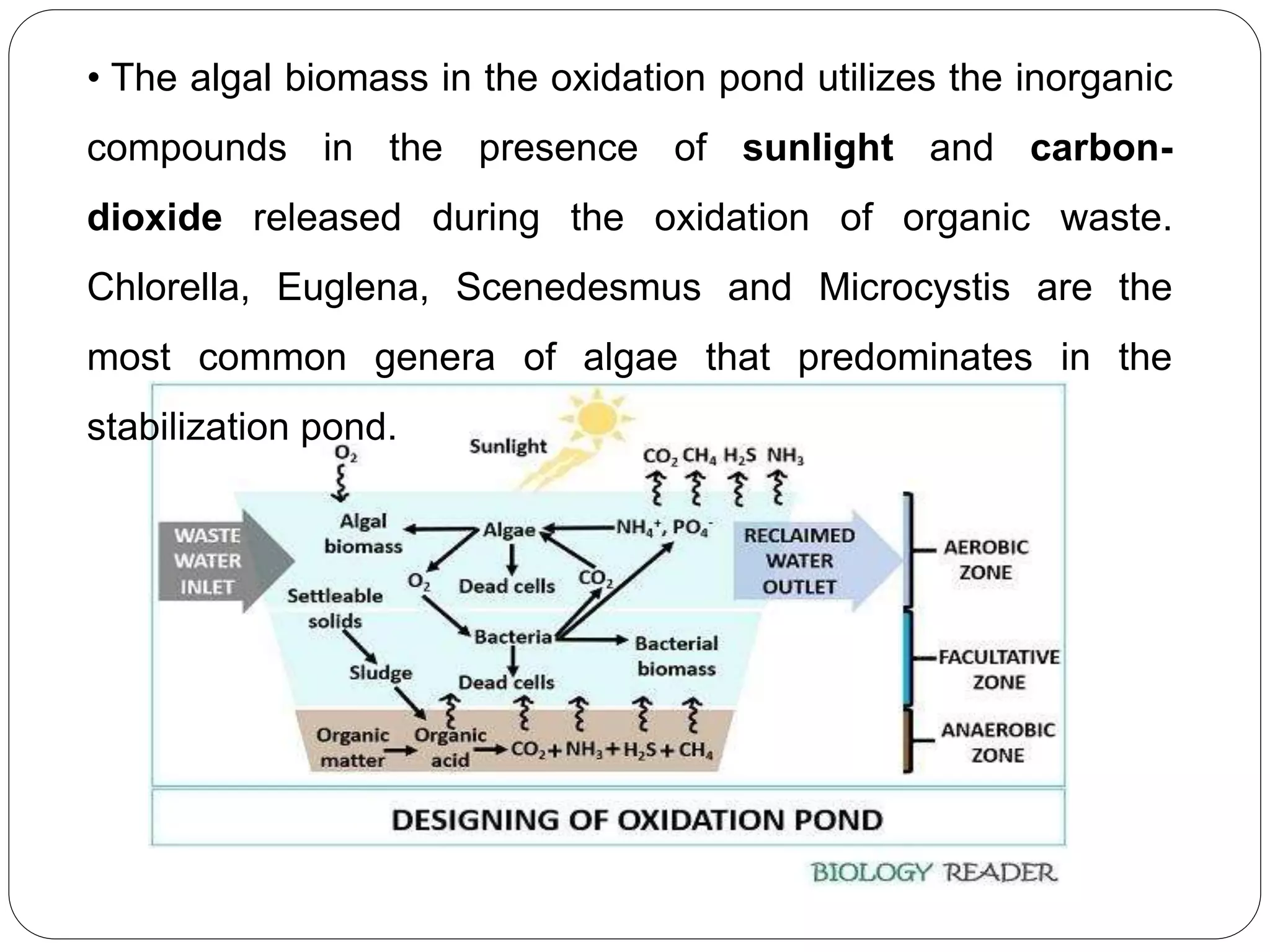 Stabilization ponds | PPTX