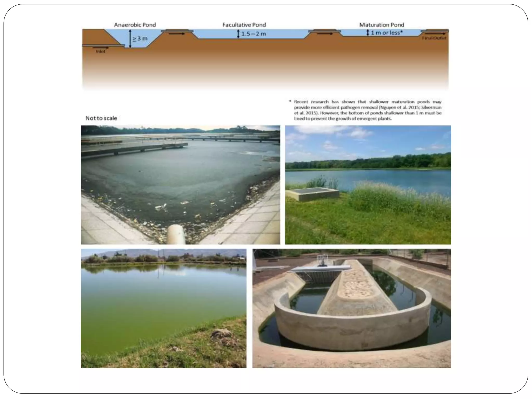 Stabilization ponds | PPTX