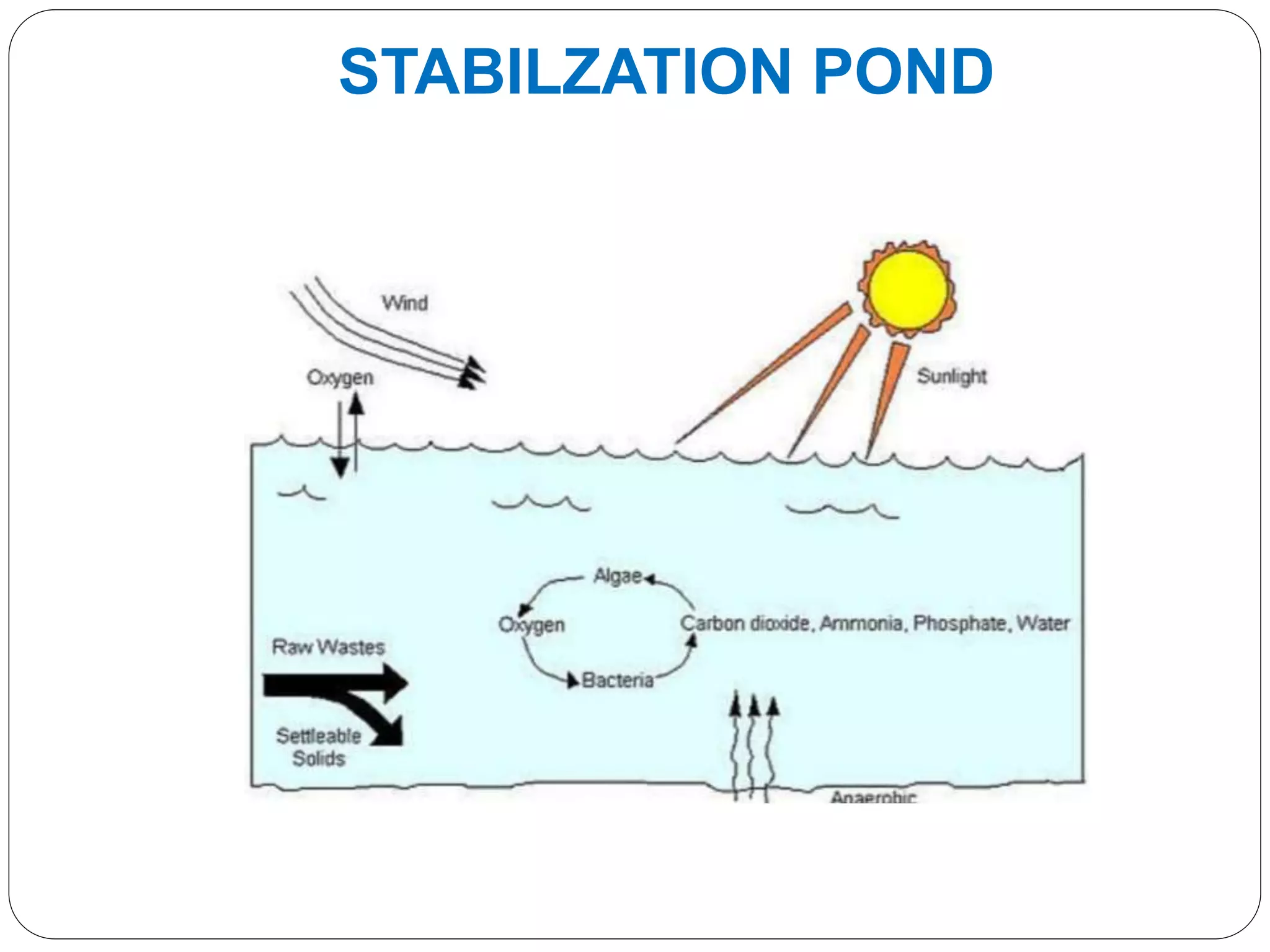 Stabilization ponds | PPTX