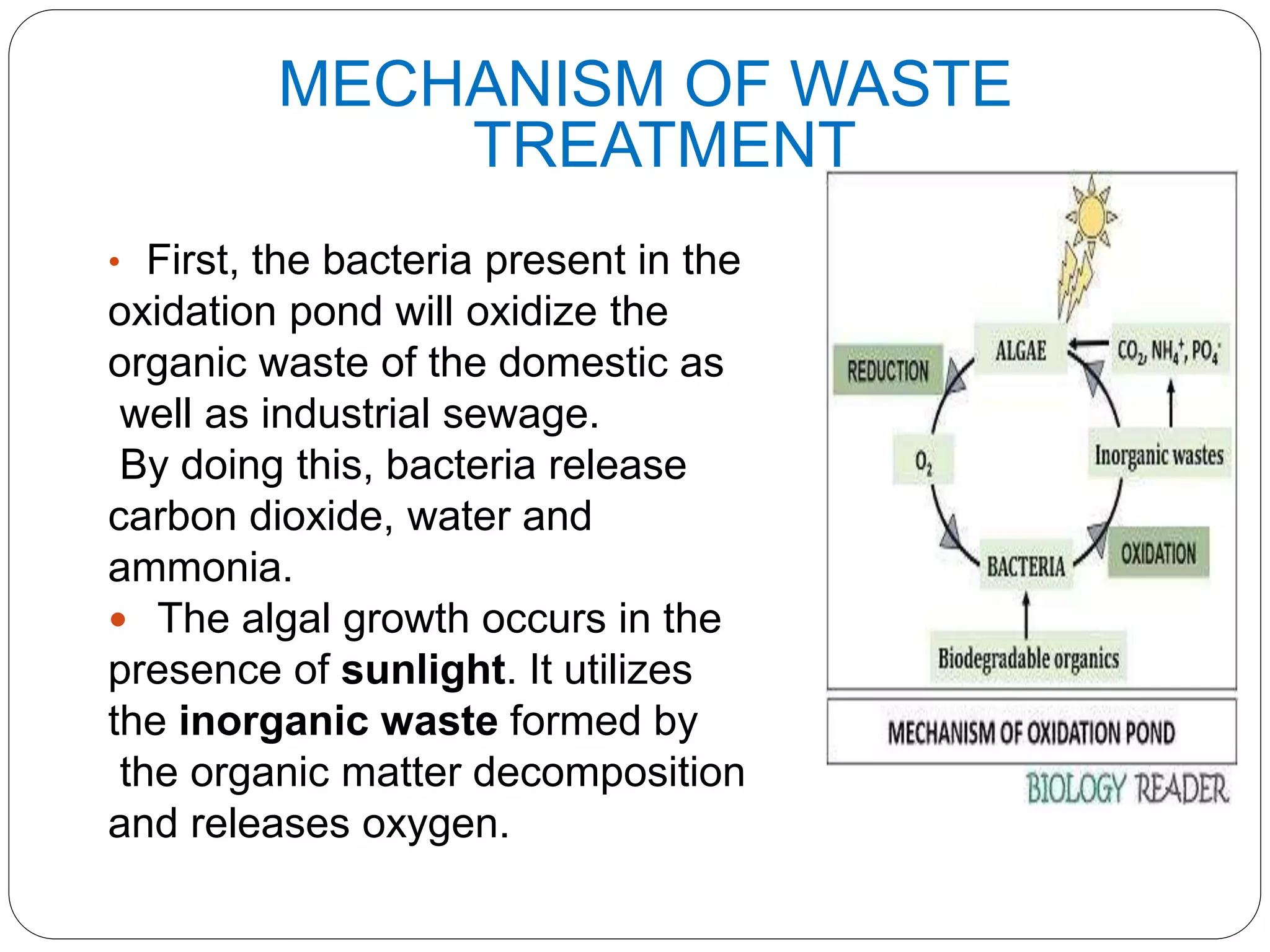 Stabilization ponds | PPTX