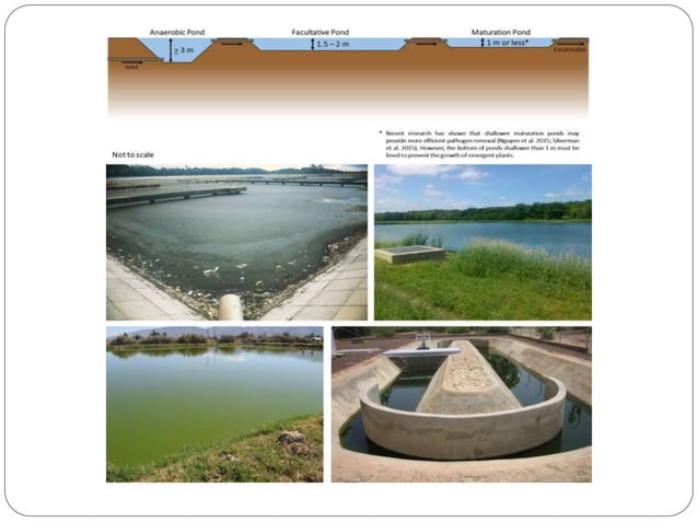 Stabilization ponds | PPTX