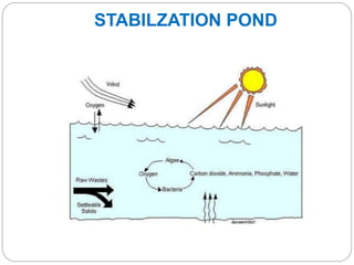 Stabilization ponds | PPTX