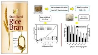 Stabilized rice-bran | PDF